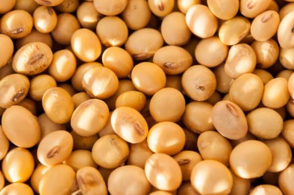 『ポリアミン』を含む食べ物やサプリ！オススメと注意点は？(たけしの家庭の医学) | なちゅナビ